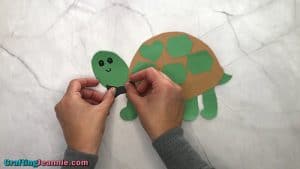 Preschool Turtle Craft (Free Template) - Crafting Jeannie