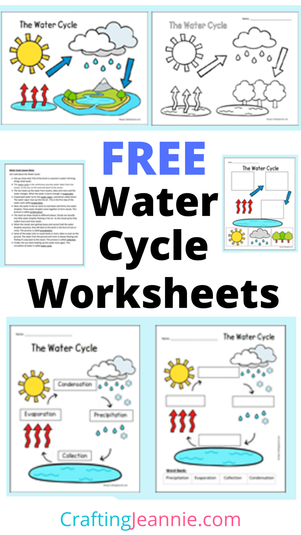 Water Cycle Worksheets (Free PDF) - Crafting Jeannie