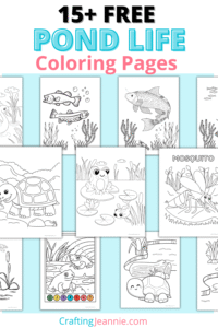 15+ Pond Coloring Pages (Free PDF)