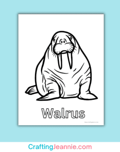 34+ Arctic Animal Coloring Pages (Free PDF)