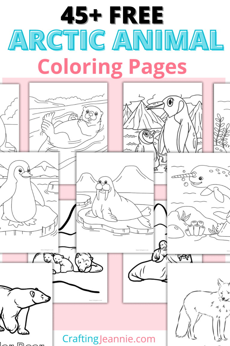 34+ Arctic Animal Coloring Pages (Free PDF)