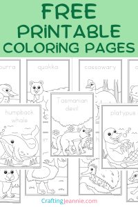 20+ Australian Animal Coloring Pages (Free PDF)